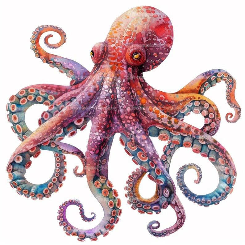 10 Majestic Cartoon Octopus Clipart Printable Watercolor Animals High ...