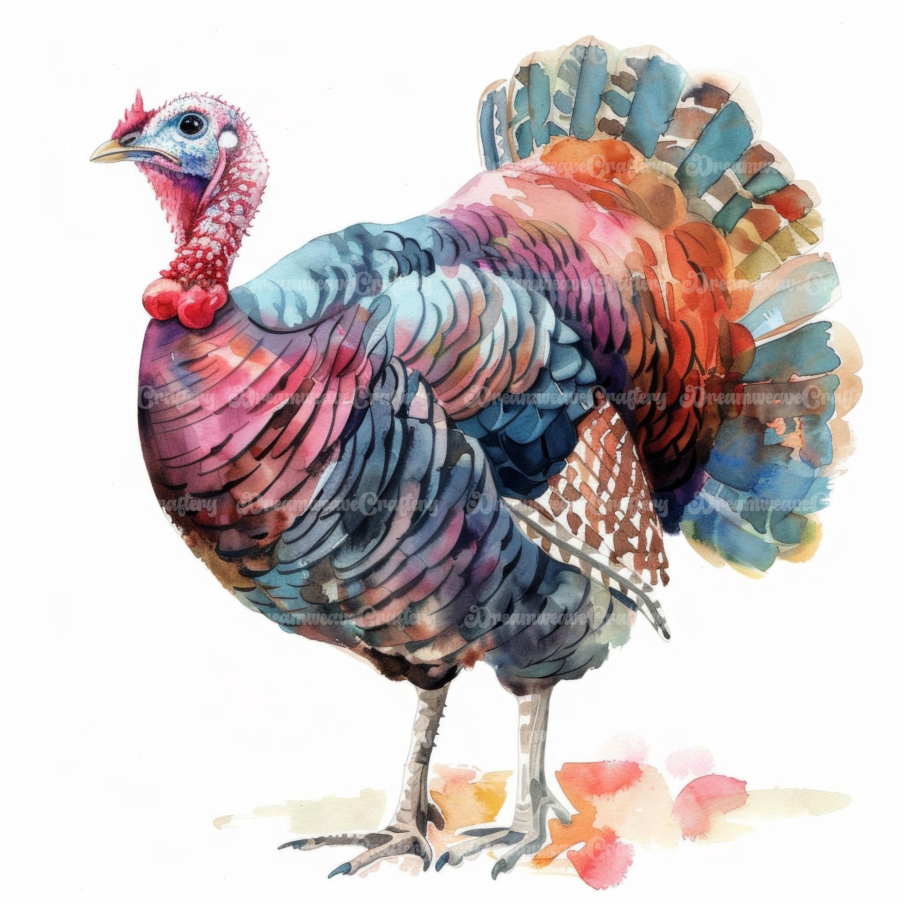 10 Pretty Cartoon Turkey Clipart Printable Watercolor Large Birds High ...