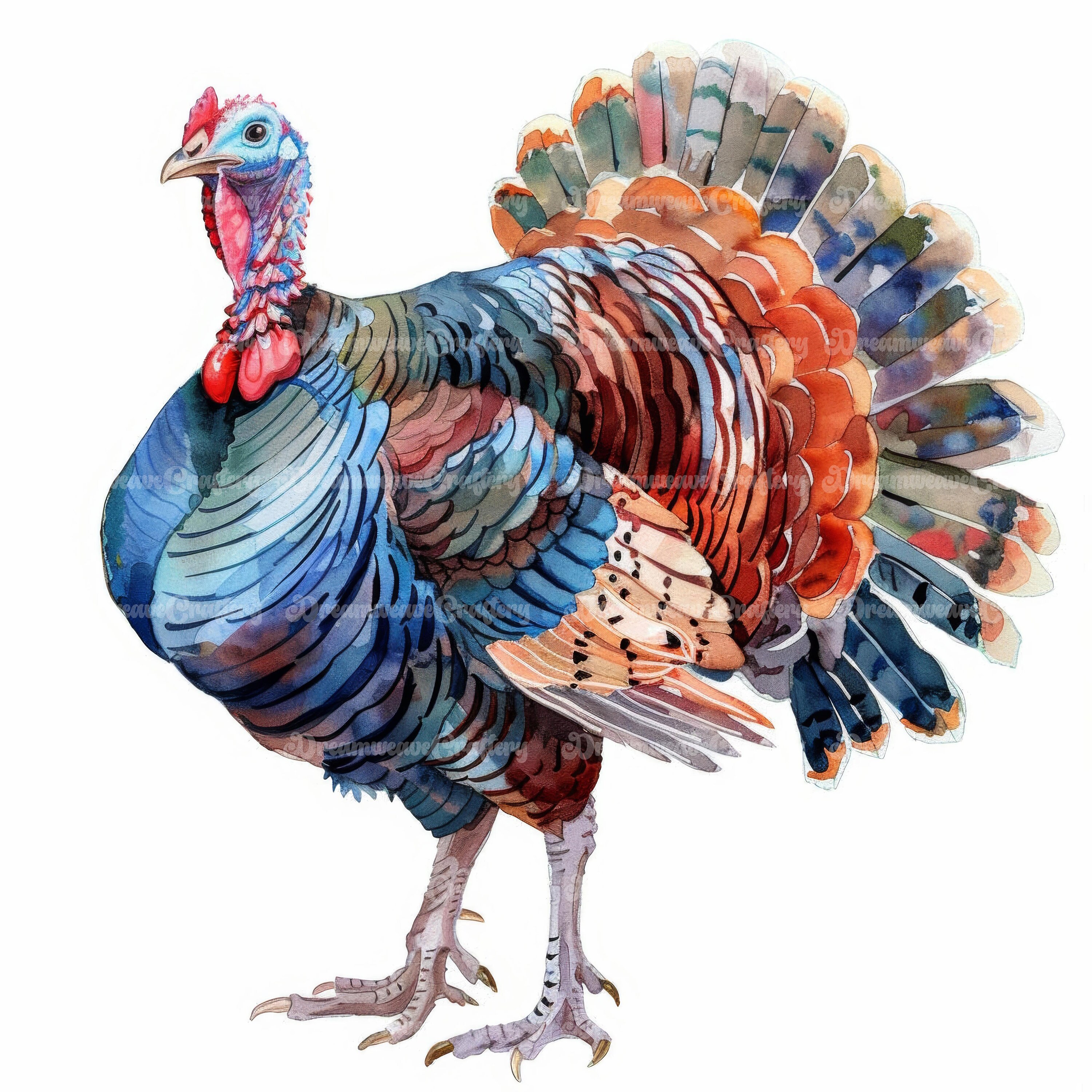 10 Pretty Cartoon Turkey Clipart Printable Watercolor Large Birds High ...