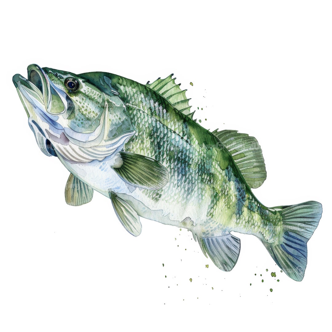 10 Pretty Cartoon Bass Clipart Printable Watercolor Marine Animals High ...