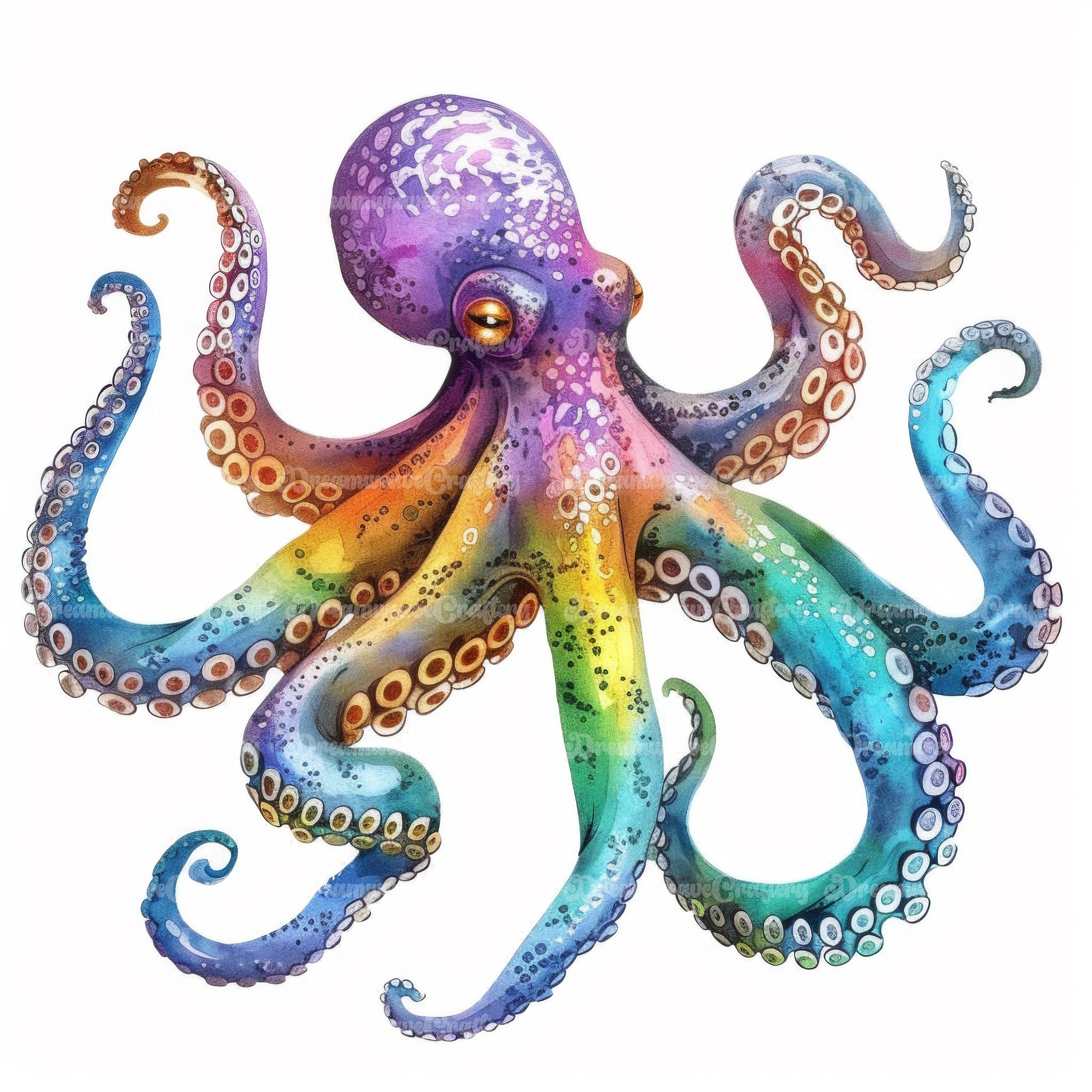 10 Pretty Cartoon Rainbow Octopus Clipart Printable Watercolor High ...