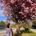 Cherry Blossom Sweater Knitting Pattern - Etsy