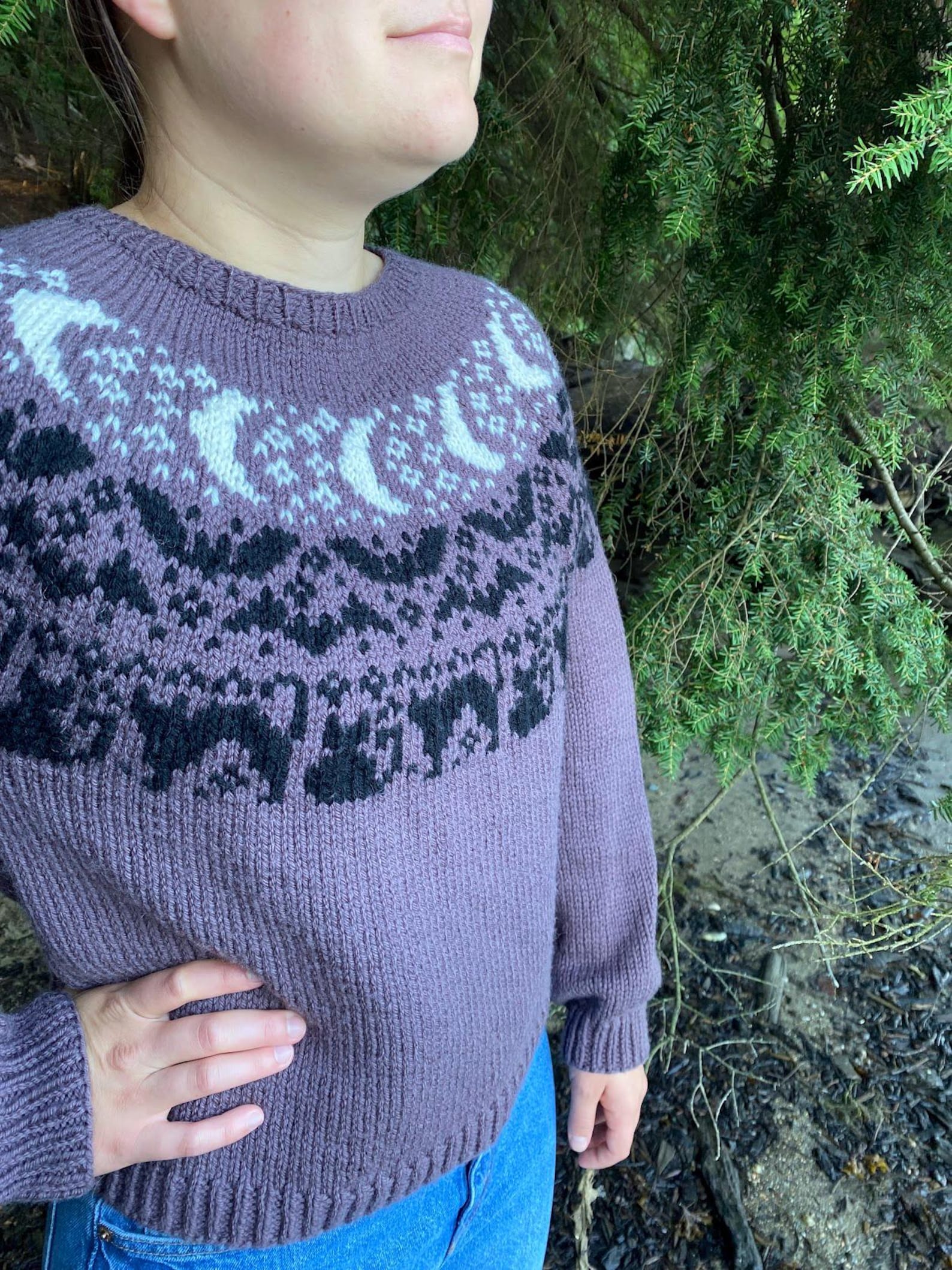 Salem Witch Sweater Knitting Pattern - Etsy