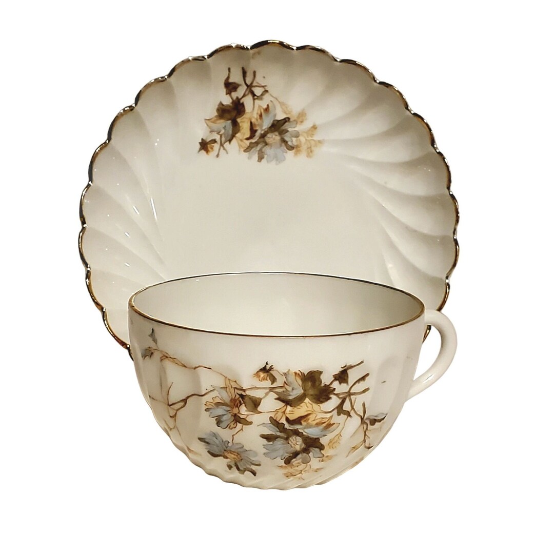 Antique Hermann Ohme Swirled Hand Painted Porcelain Tea Cup Saucer ...
