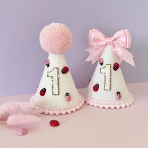 Pink Ladybug Birthday Party Hat, Ladybug 1st Birthday, Ladybug Theme ...