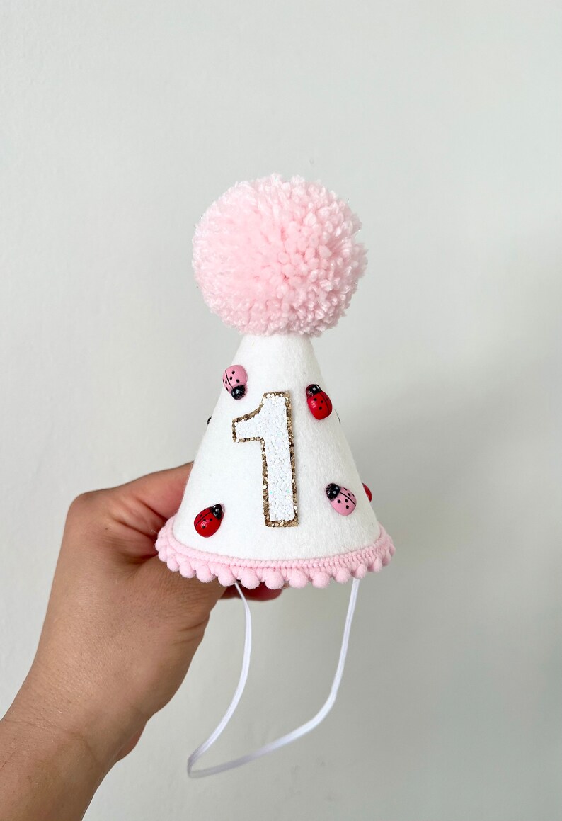 Pink Ladybug Birthday Party Hat, Ladybug 1st Birthday, Ladybug Theme ...