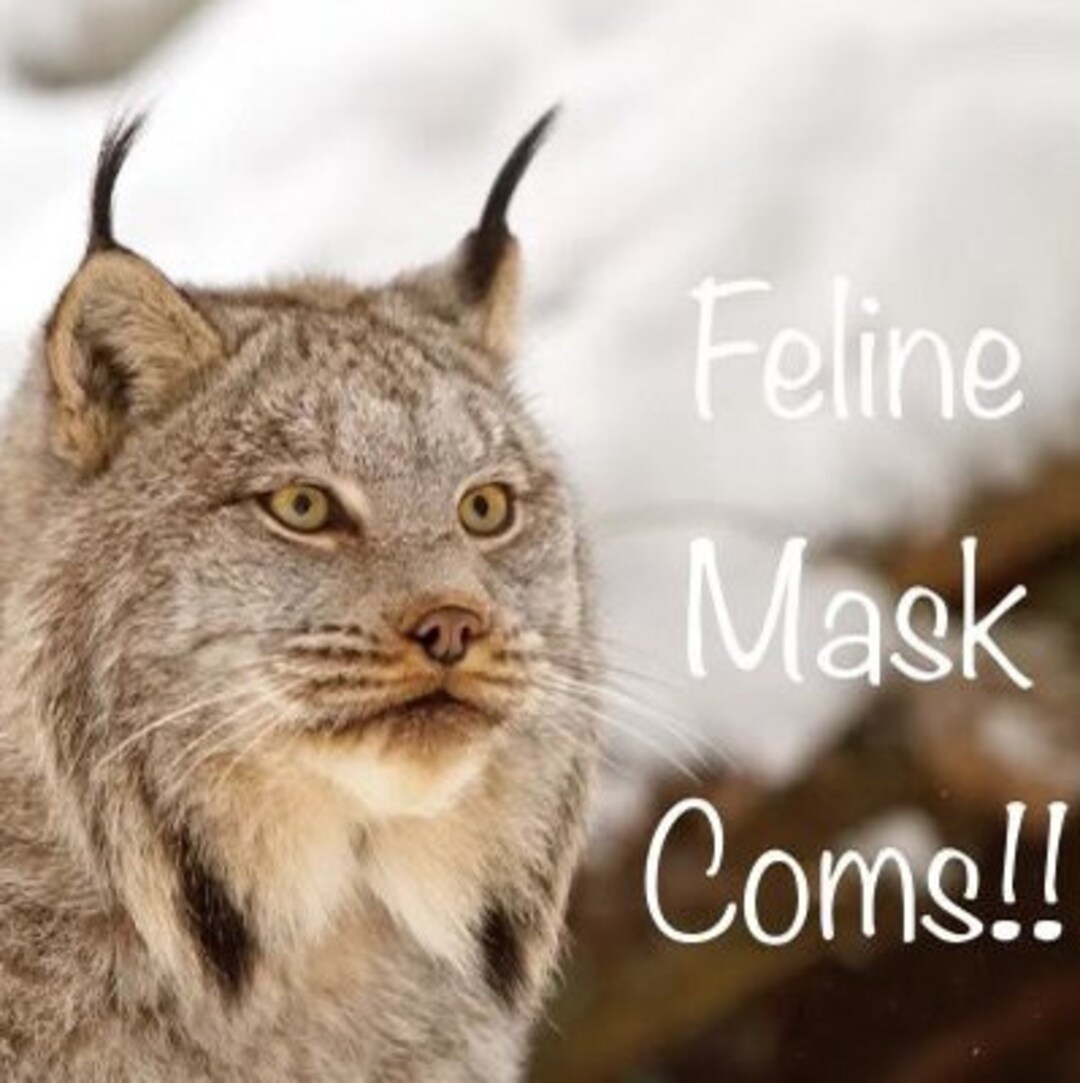 OPEN!! Feline Mask Commissions! (READ DESCRIPTION) - Etsy