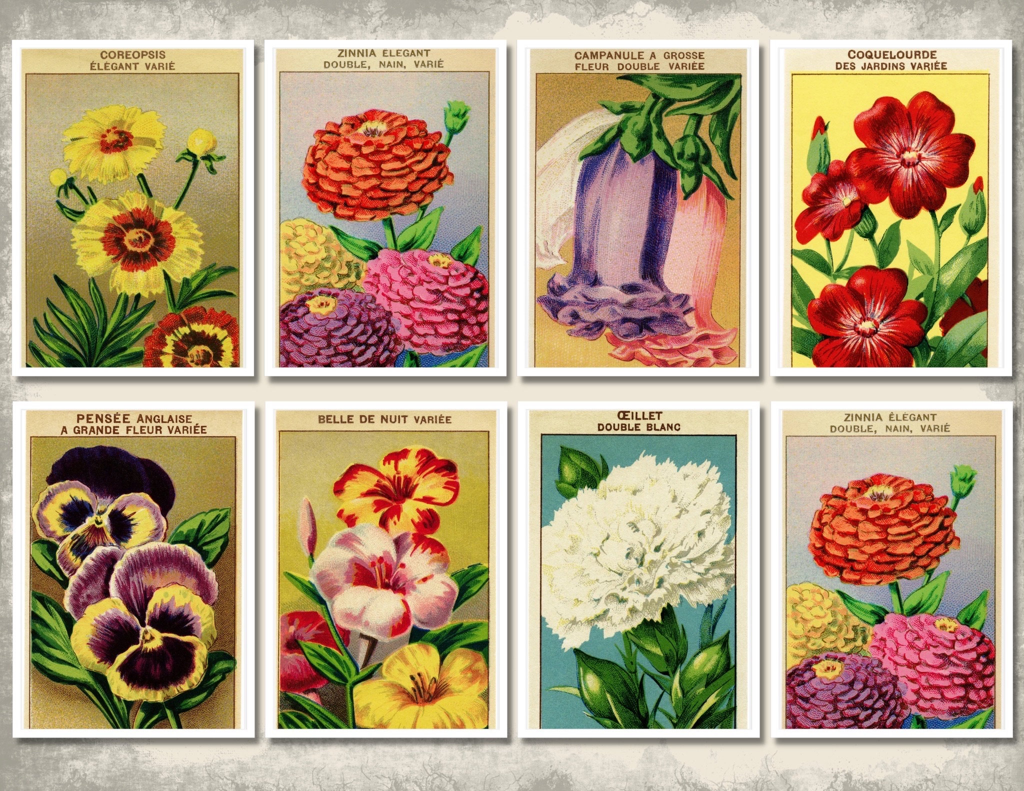 Vintage Flower & Vegetable Cards Printable Vintage Scrapbooking Junk ...