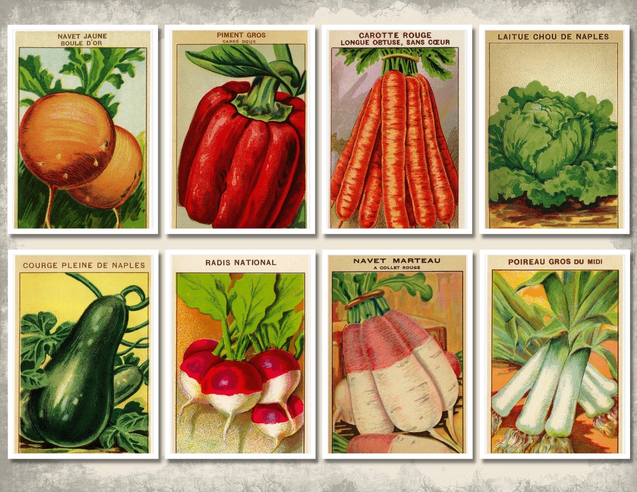 Vintage Flower & Vegetable Cards Printable Vintage Scrapbooking Junk ...