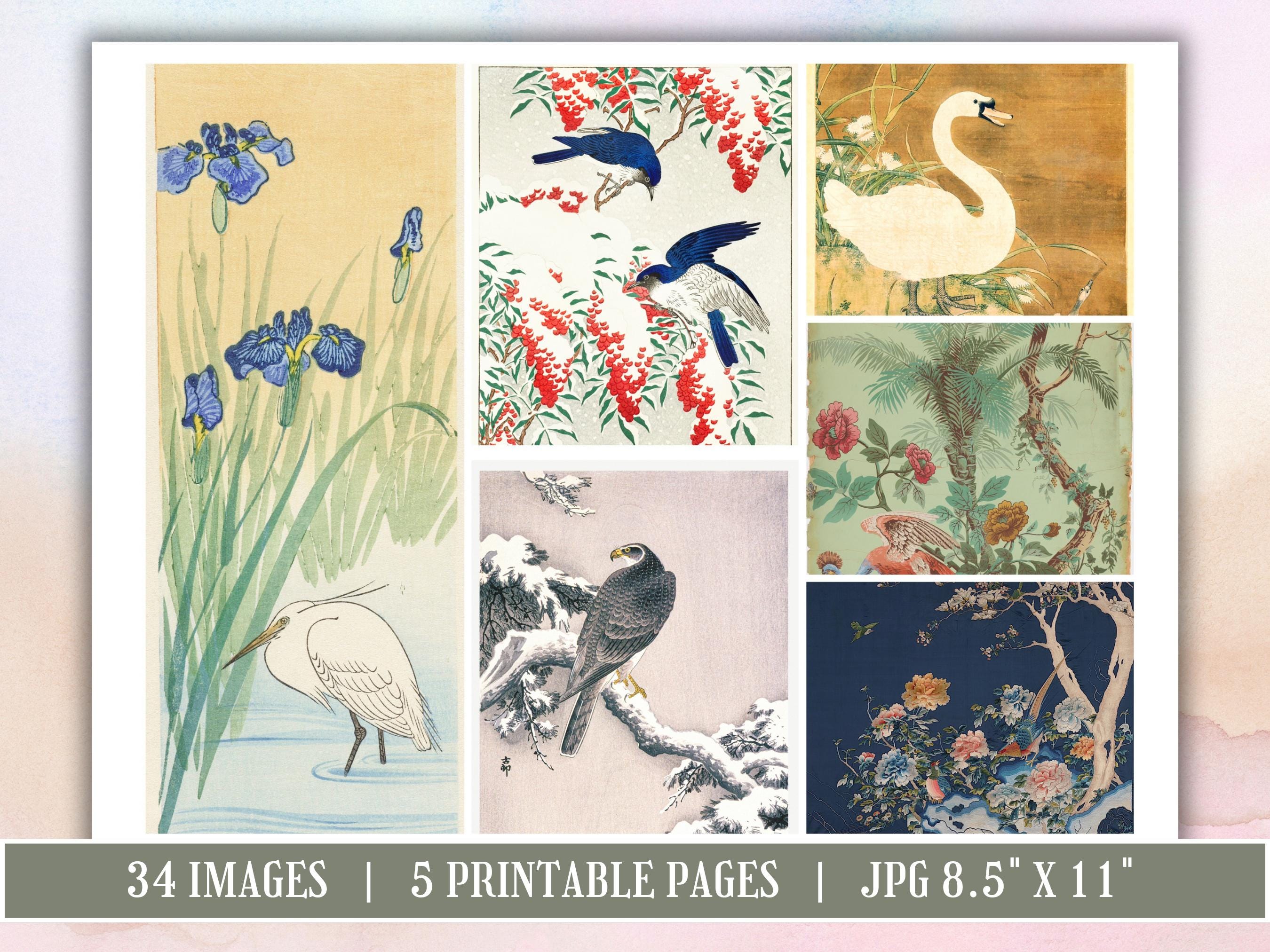 Ancient China Old Books & Posters Ephemera | Vintage Asian Illustration ...