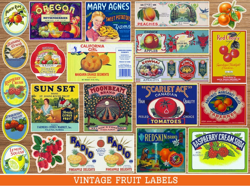 Vintage Fruit Can Product Labels Printable, Retro Graphic Vintage ...