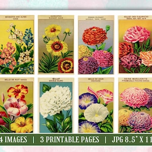 Vintage Flower & Vegetable Cards Printable | French Botanical ...