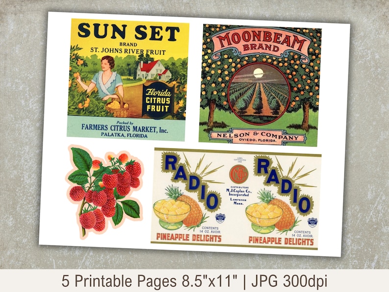 Vintage Fruit Crate Labels Collection Printable | Printable Junk ...