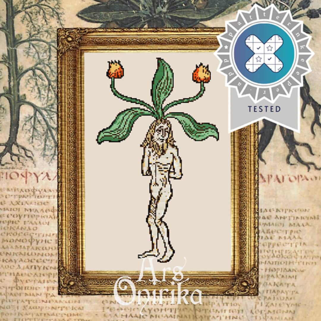 Male Mandrake Root Cross Stitch Pattern – 15th Century Codex Art – Medieval Botanical – Pattern ...
