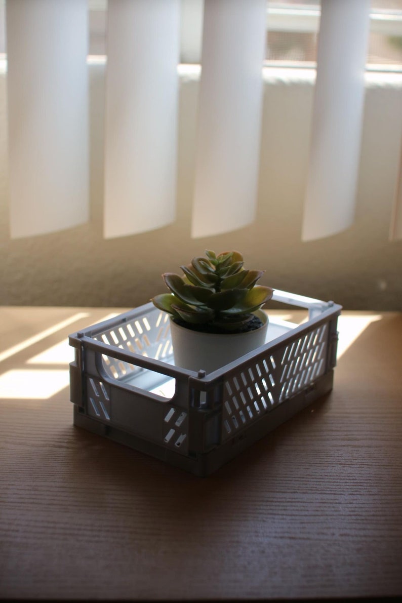 4-pack Mini Pastel Creates for Desktop Storage Organizing - Etsy