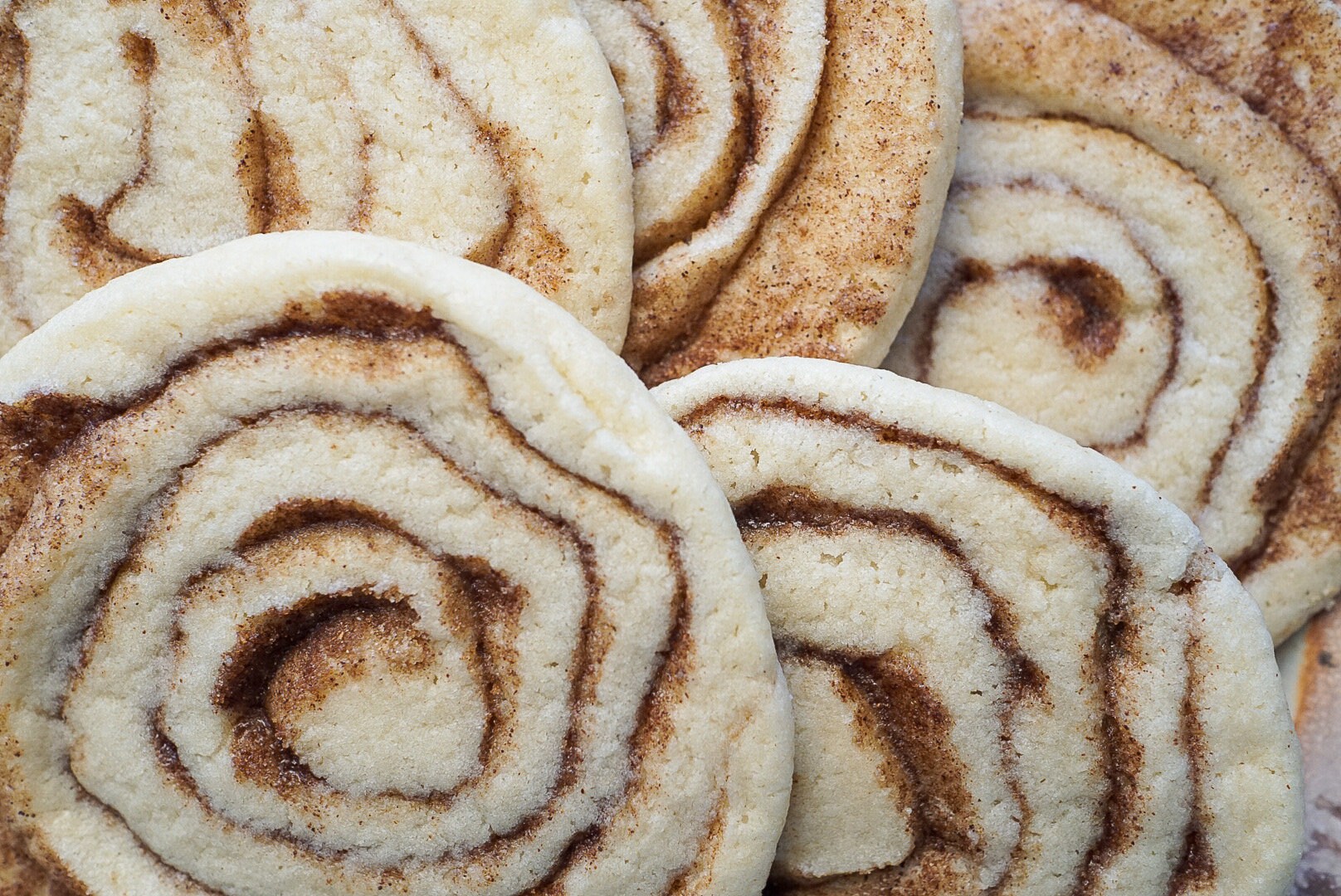 Build Your Own Classics Dozen - Etsy