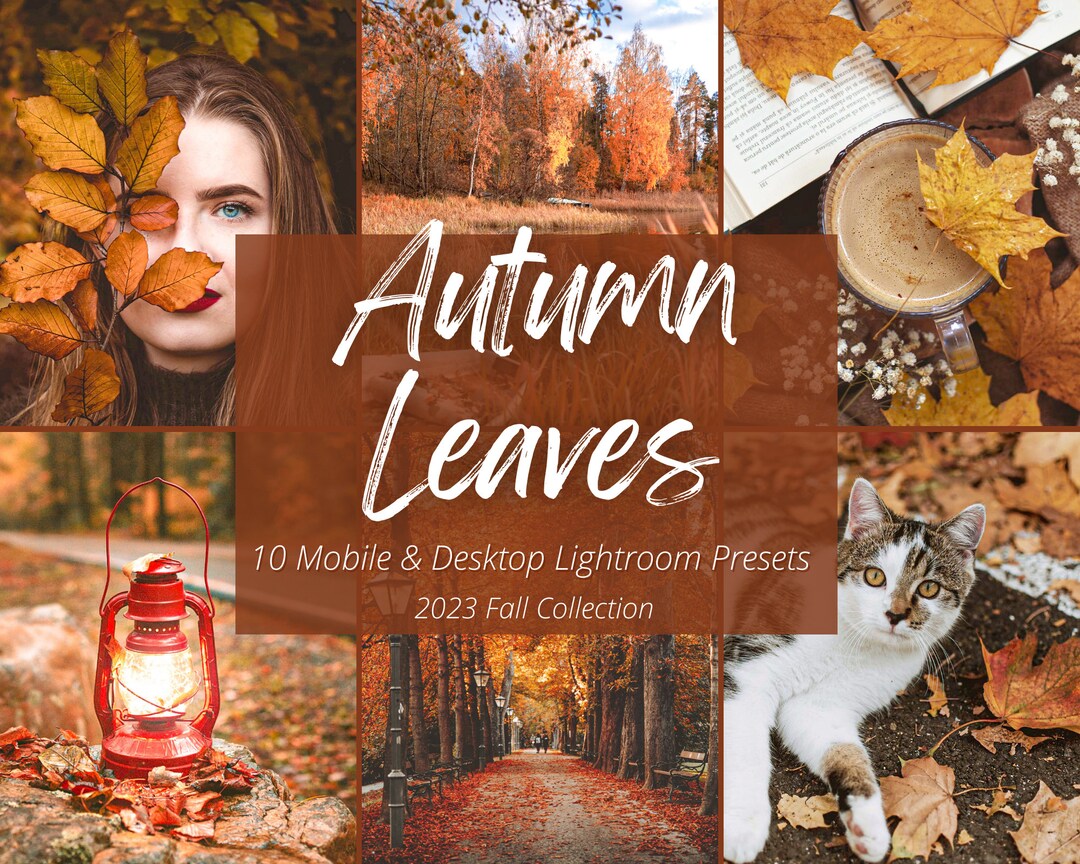 10 Autumn Leaves Lightroom Mobile & Desktop Presets, Warm Fall Preset ...