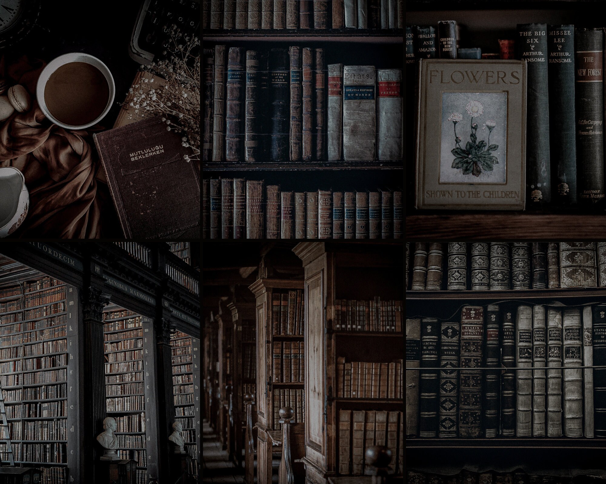10 Gothic Books Lightroom Mobile & Desktop Presets, Bookstagram Preset ...