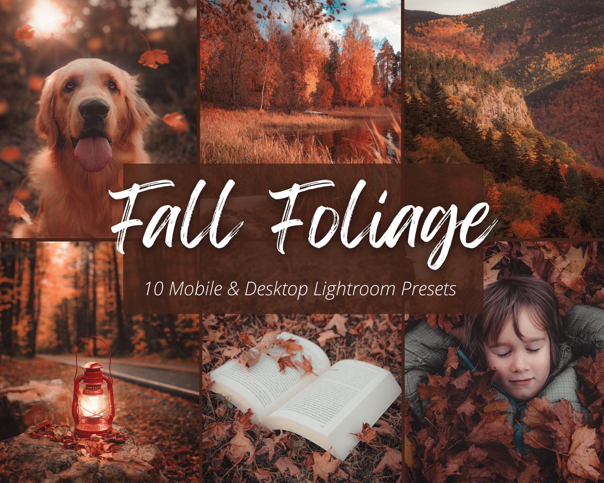 120 Fall Bundle Lightroom Mobile & Desktop Presets Fall - Etsy
