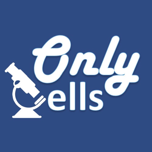 OnlyCells - Etsy