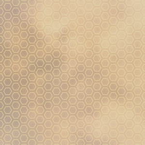 Hexagonal Graph Paper Template Collection / Photoshop Patterns ...