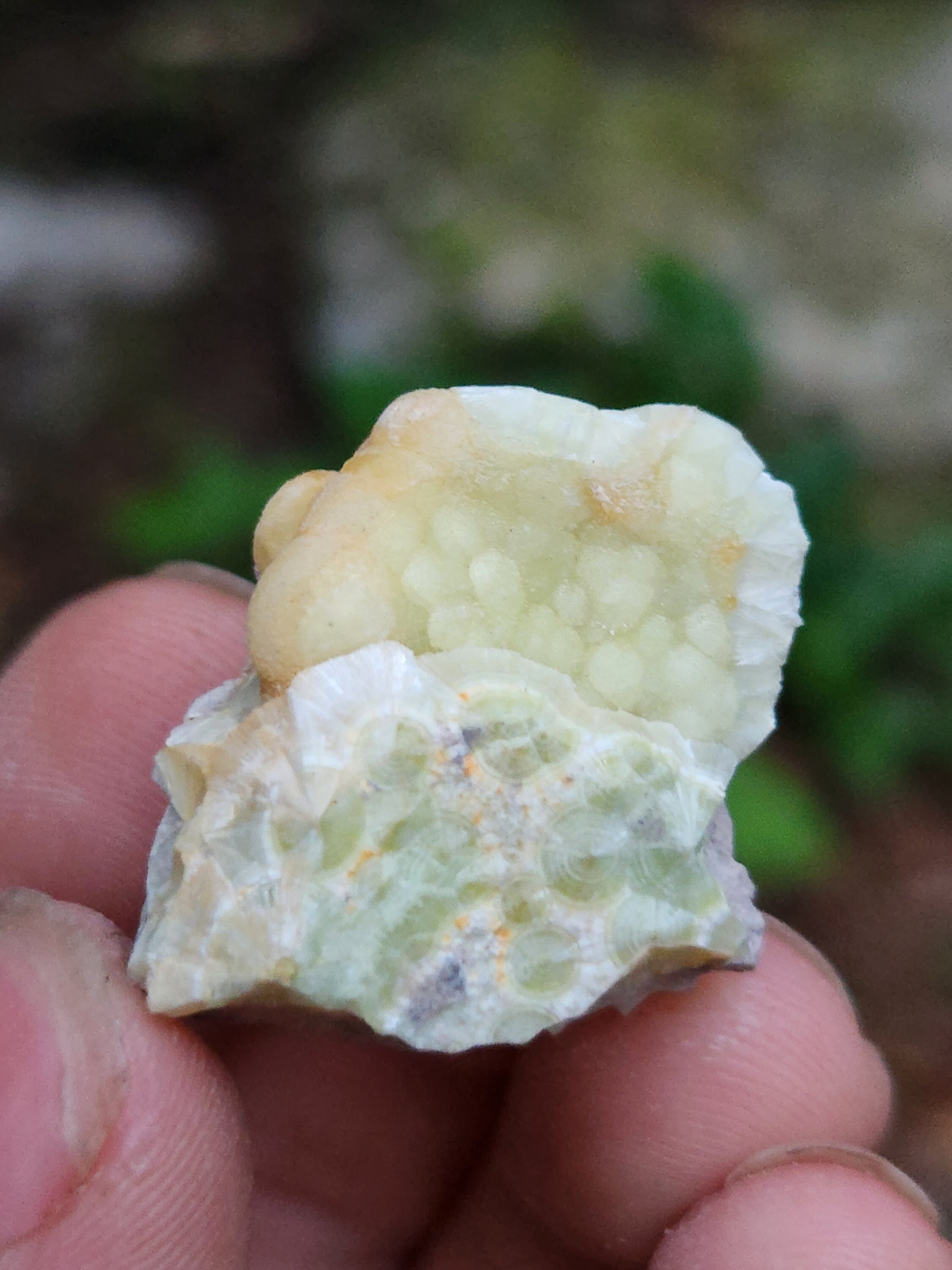 Pennsylvania Wavellite Specimen - Etsy