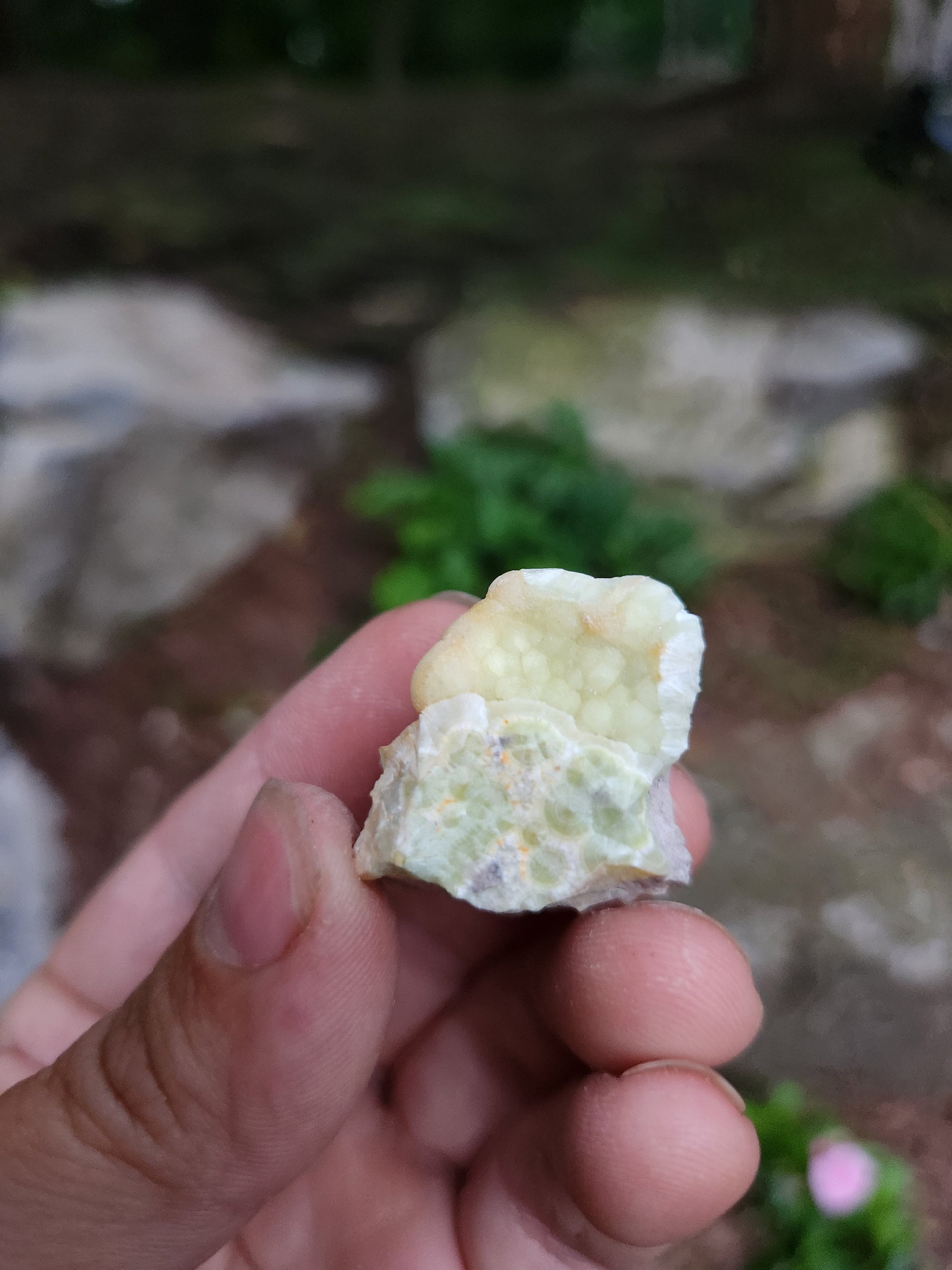 Pennsylvania Wavellite Specimen - Etsy