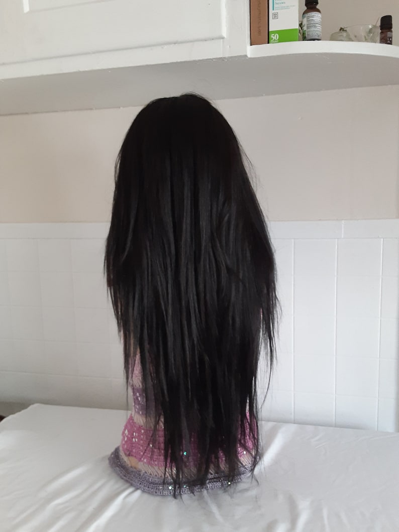 Black Gothic Lace Front Wig Human Hair Blend Straight Layered. - Etsy