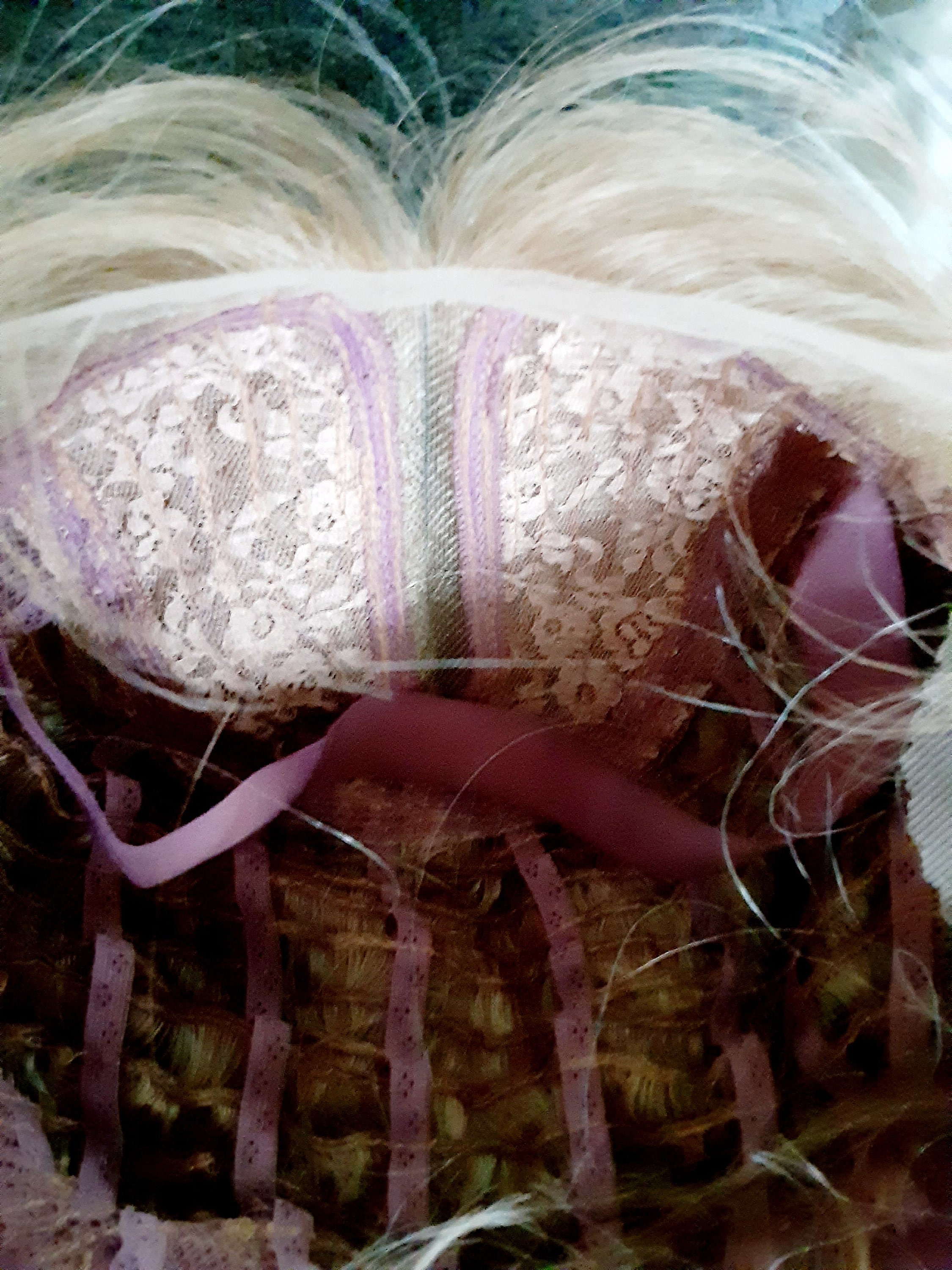 Honey Blonde Lace Front With Whisky Bangs . Human Hair Blend 16' - Etsy