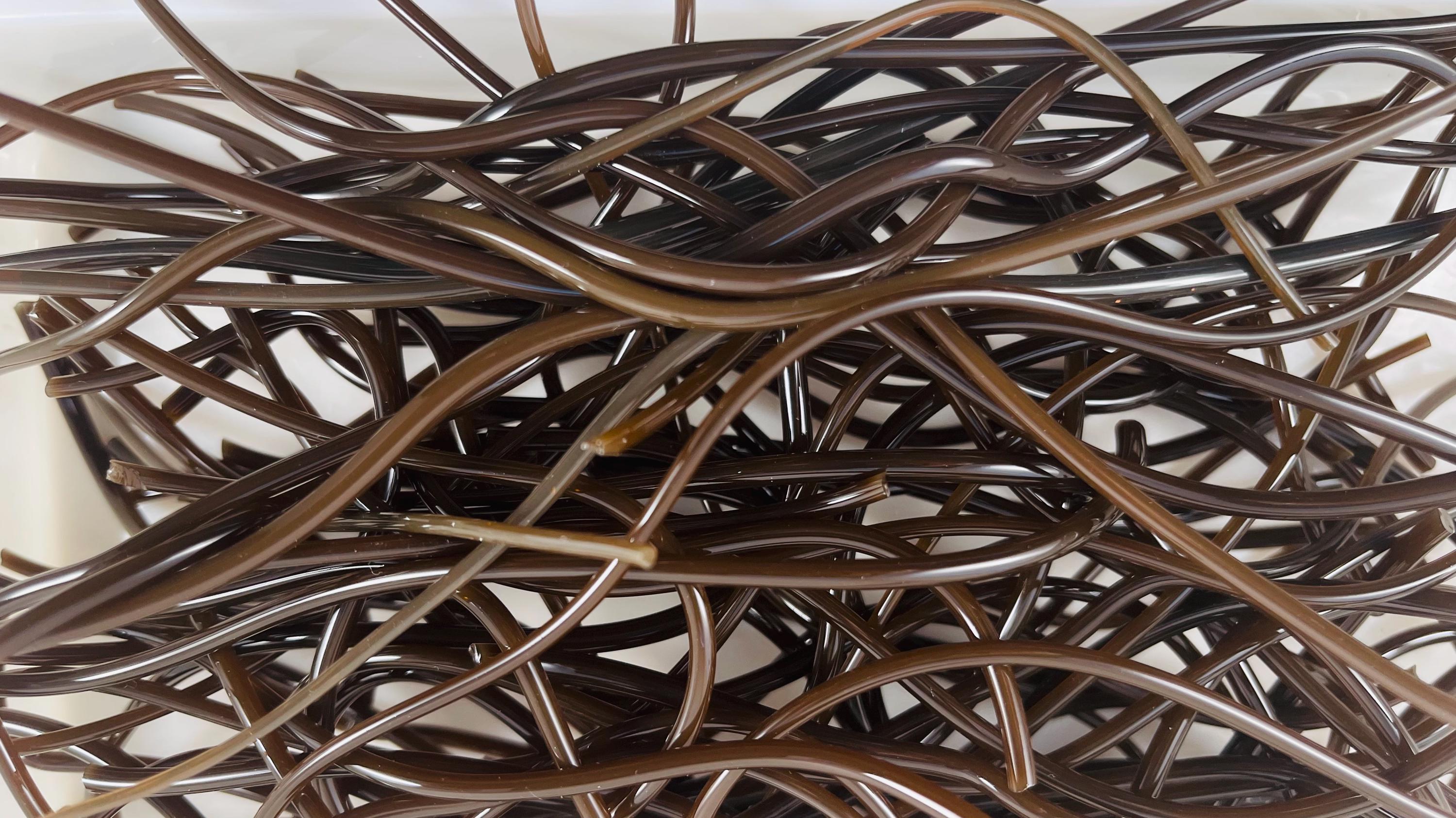 COE 96 Vitrigraph Stringers - Etsy