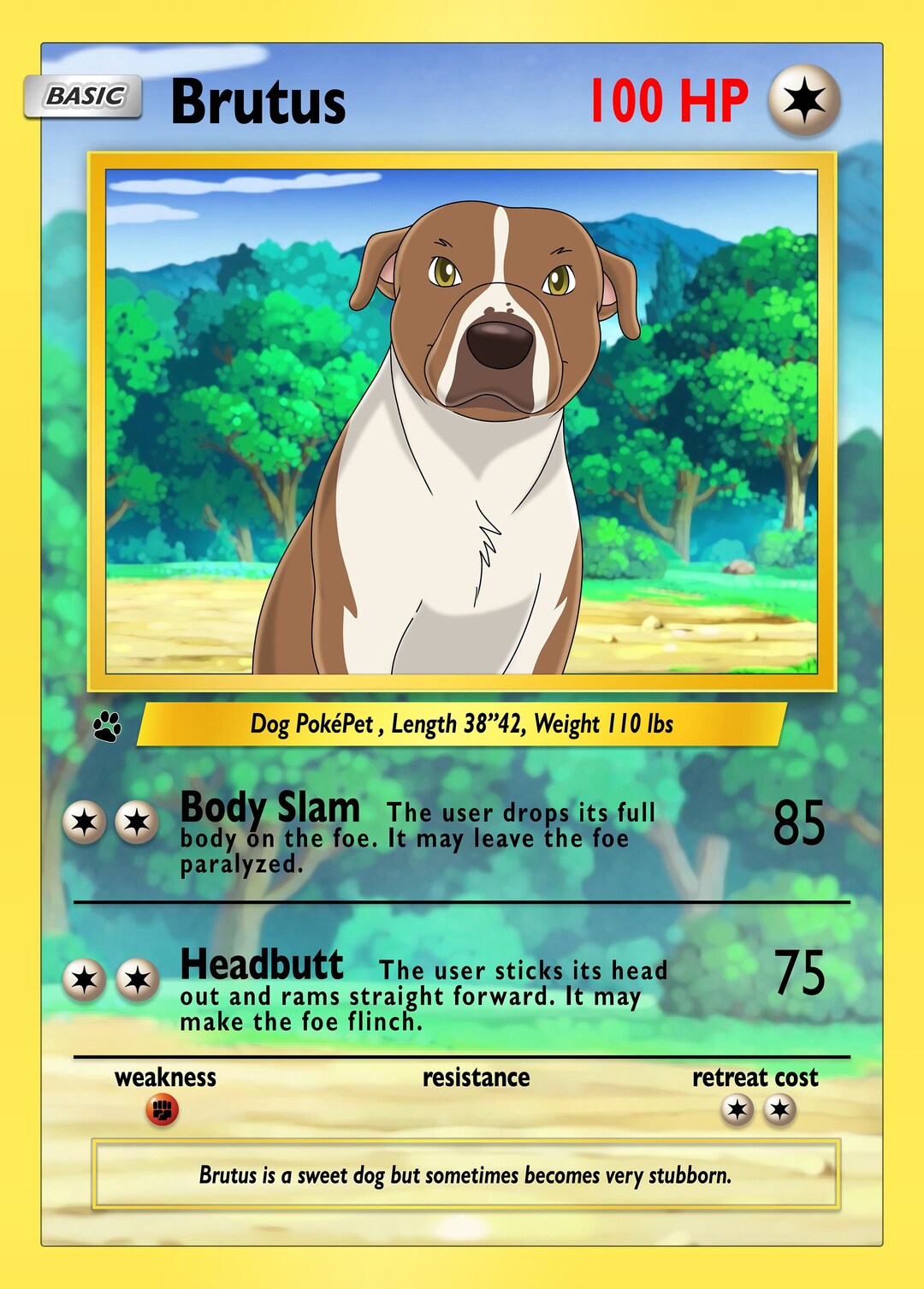 Custom Pokepaw Pets Poke Cards Digital Image Pokepet Monster Pets ...