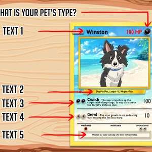 Custom Pokemonstyle Portraits | Poke Cards | Digital Image | Pokepet ...