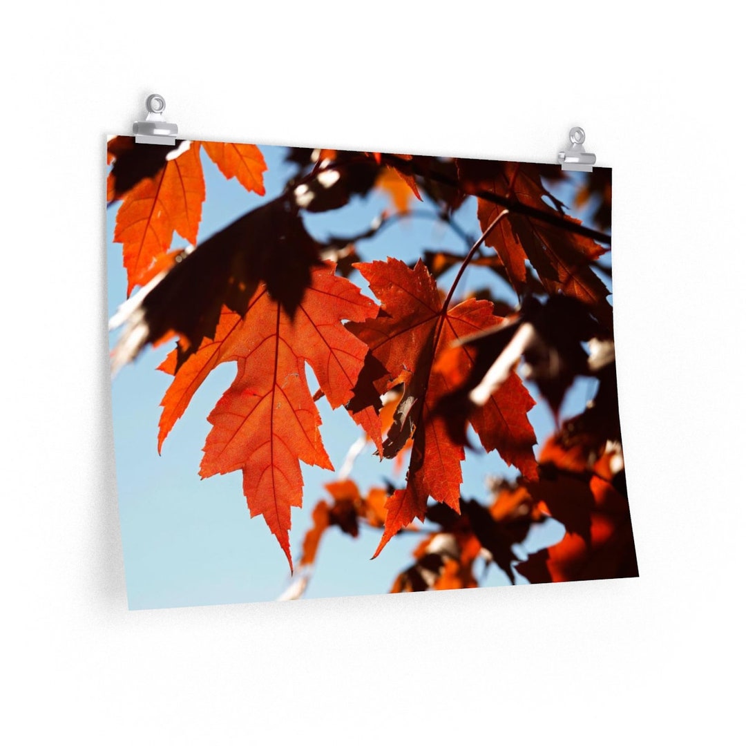 Red Maple Leaves Print | Fall Artwork | Autumn Artwork | Premium Matte ...
