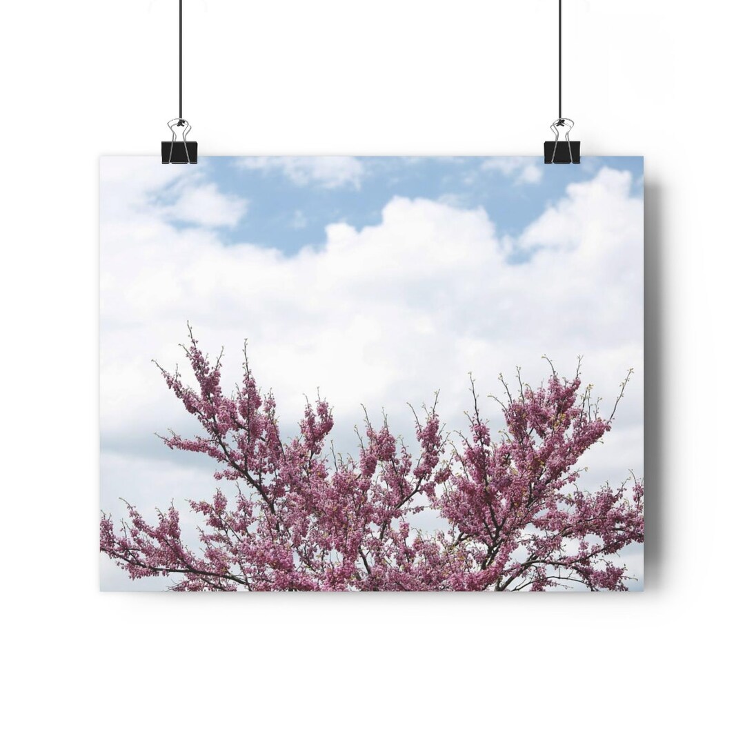 Cherry Blossom Tree | Flower Blooms Poster Giclée Art Print - Etsy