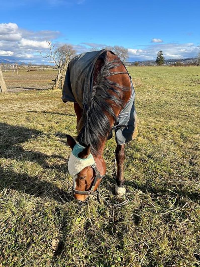 Simple Horse Ear Bonnet Crochet PATTERN, DIY Horse Bonnet, Crochet ...
