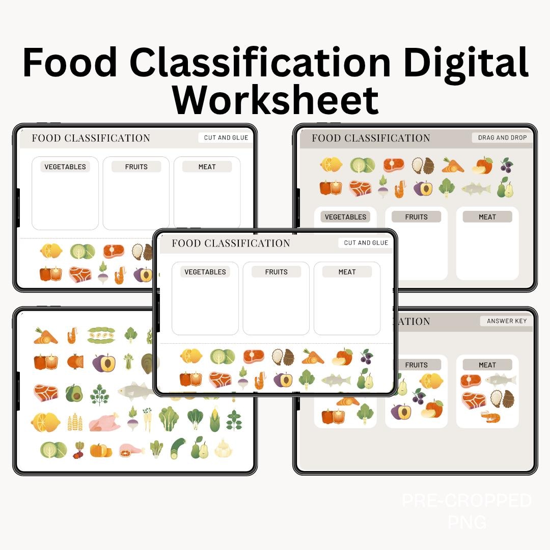 Food Classification Worksheet | Digital Learning Activity for Kids ...