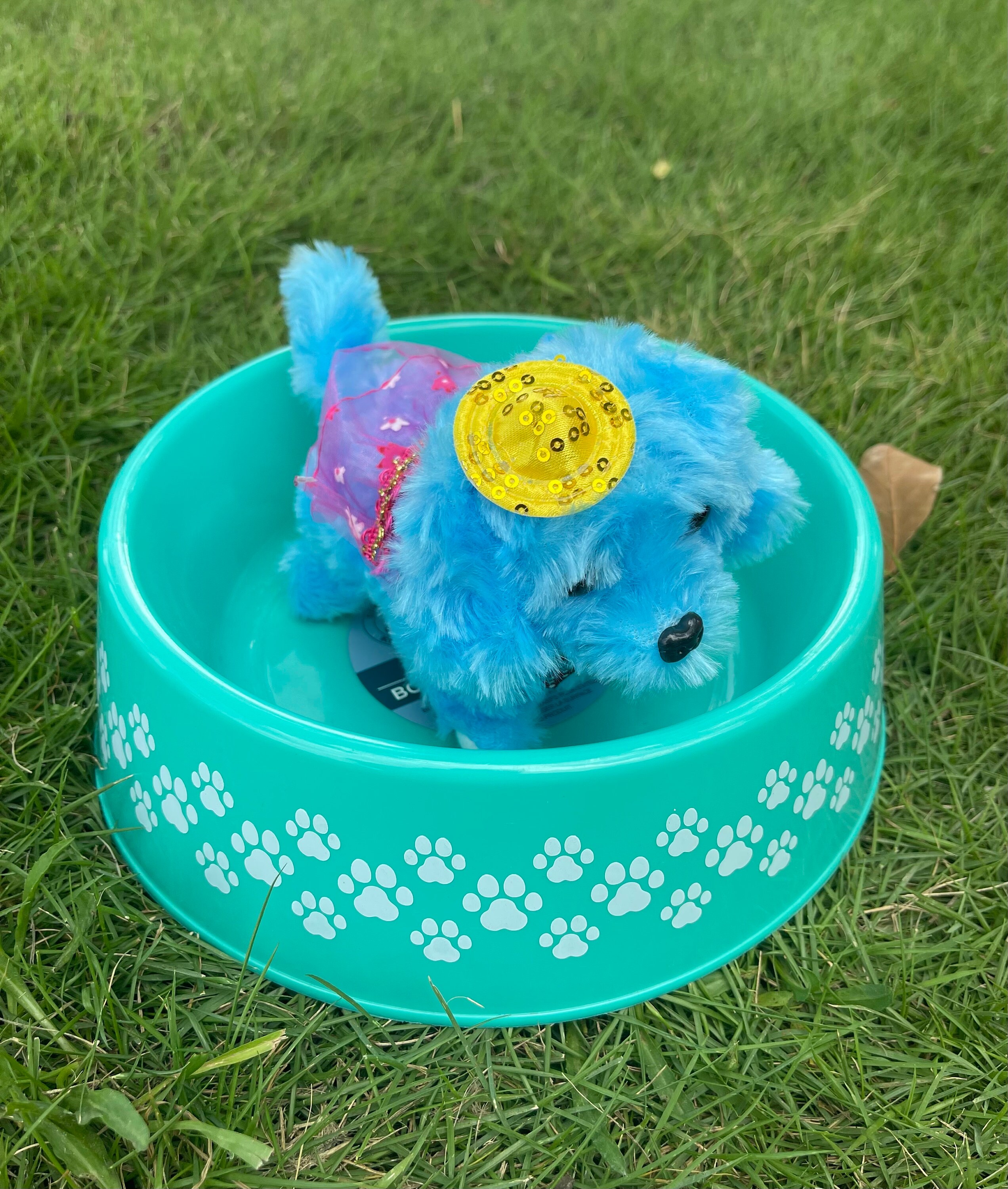 Maltipoo Dog, Cavapoo Puppy, Walking Dog, Barking Dog, Gift for Kids ...