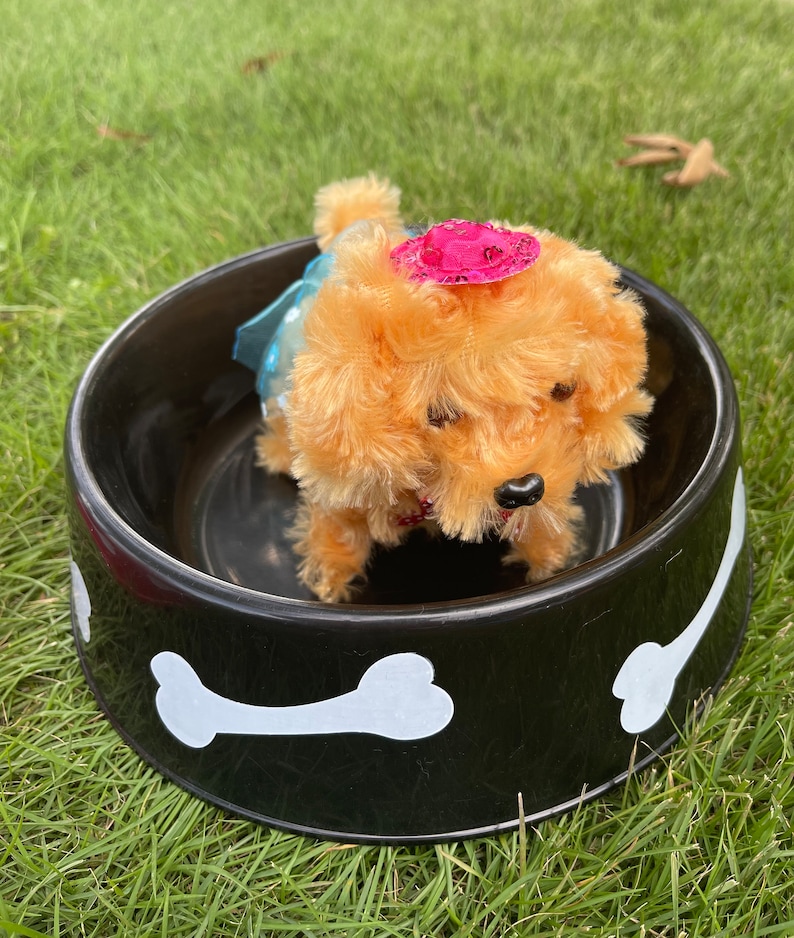 Maltipoo Dog, Cavapoo Puppy, Walking Dog, Barking Dog, Gift for Kids ...