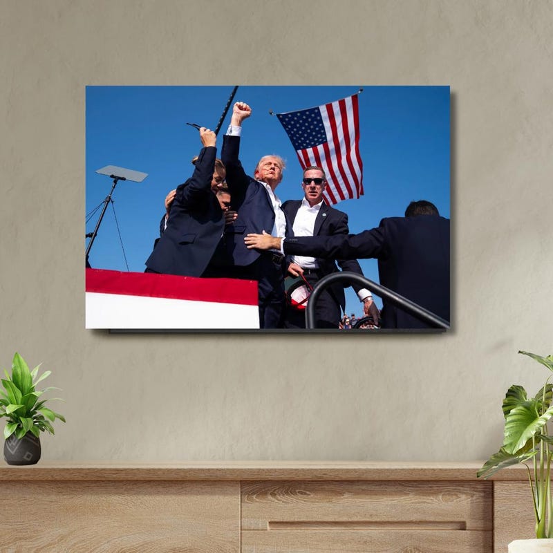 Trump Canvas Wall Art - Etsy