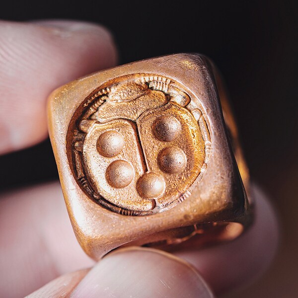 Insect Collection - Etsy