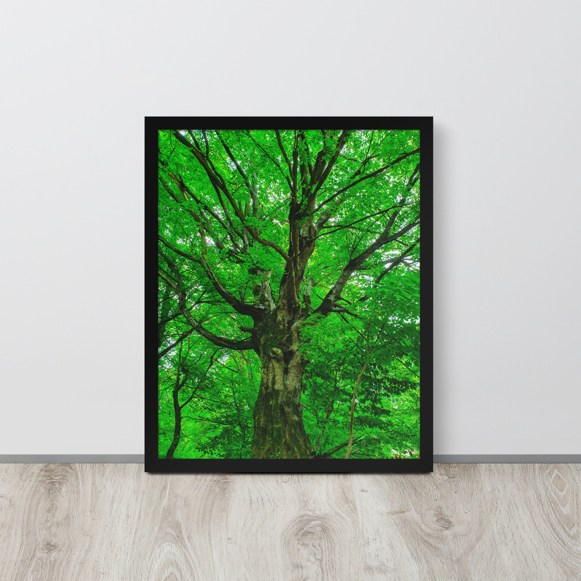 Tropical Rainforest Tree Landscape: Greenery Wall Decor With Stunning ...
