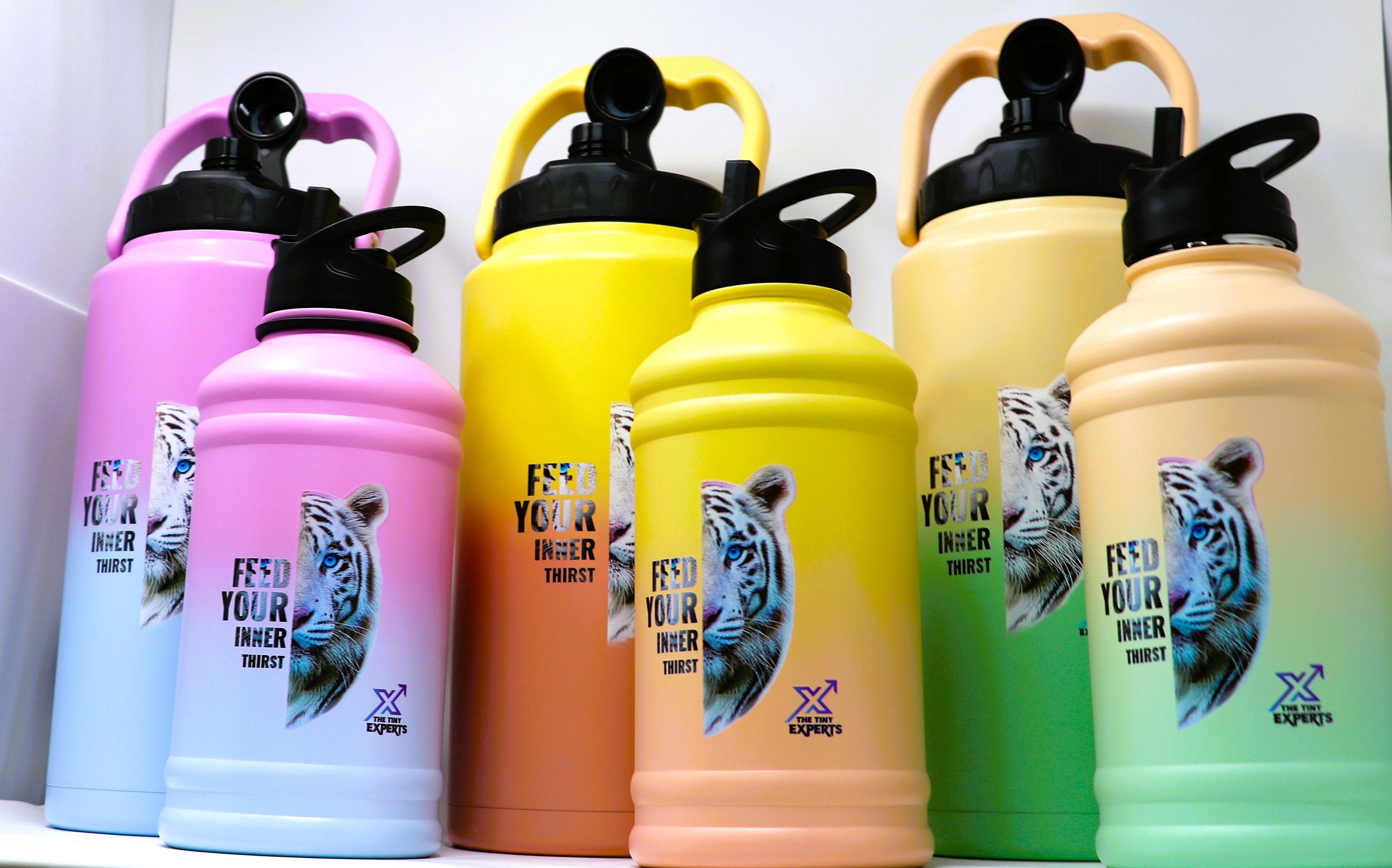 Combo Pack Insulated Water Bottle - 2.2 Liter + 1 Gallon Stainless ...