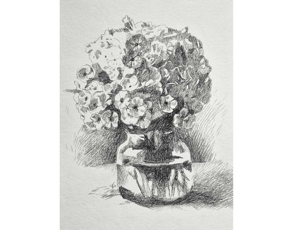 Phlox Art Flower Illustration Floral Art Floral Drawing - Etsy