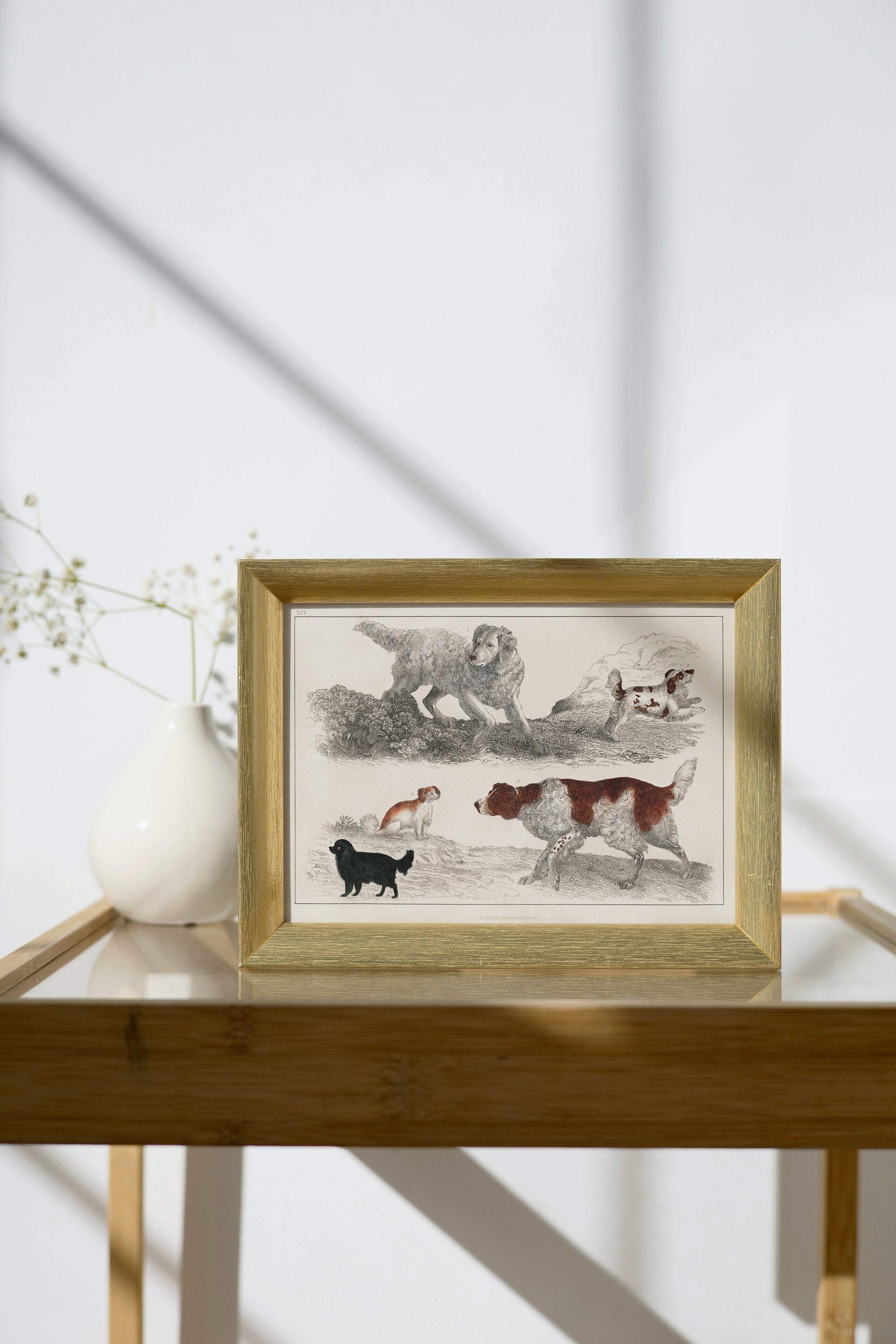 Printable Dog Breeds Print Digital Vintage Dog Print Dog - Etsy