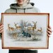 Printable Antelope Species Print, Digital Vintage Antelope Print, Deer ...