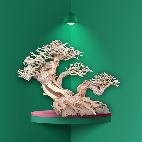 Aquarium Tree - Etsy