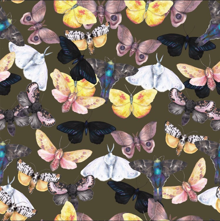 Floral Pattern Overlays in Seamless Format, Digital Flower Patterns PNG ...