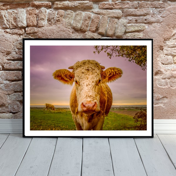 Cow Portrait - Etsy