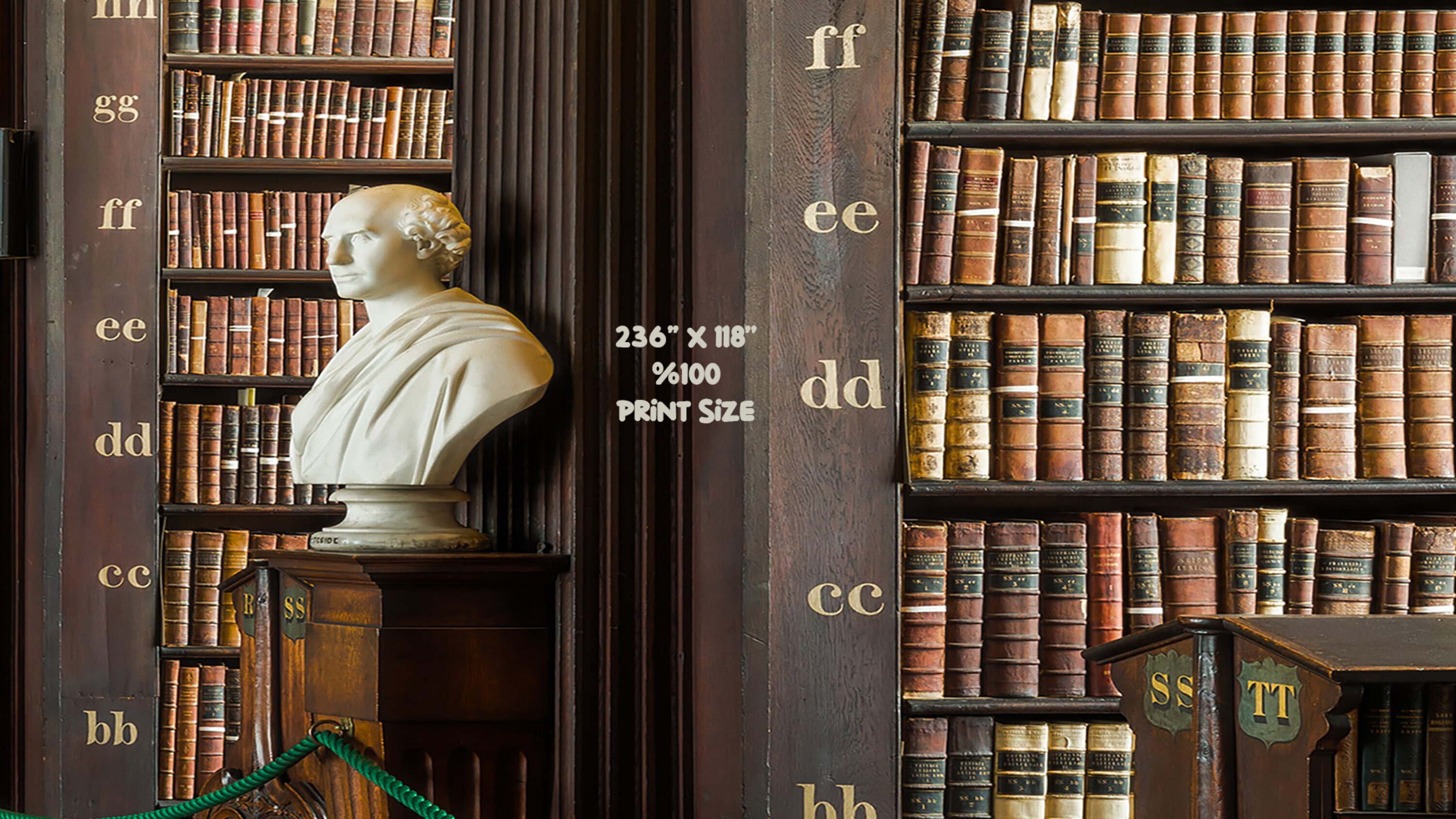 Remote Perspective Library Corridor Wallpaper Wall Decor - Etsy