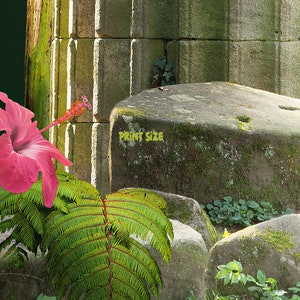 Ancient Roman Columns and Flamingos Wallpaper, Mural, Self Adhesive ...